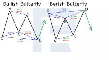 7 Harmonic Patterns That Rule the Trading World - R Blog - RoboForex